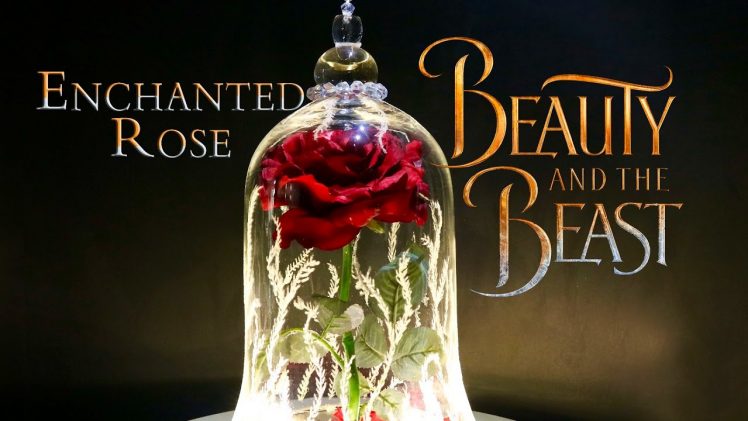 Roses as a Symbol in Movies - Empire Movies